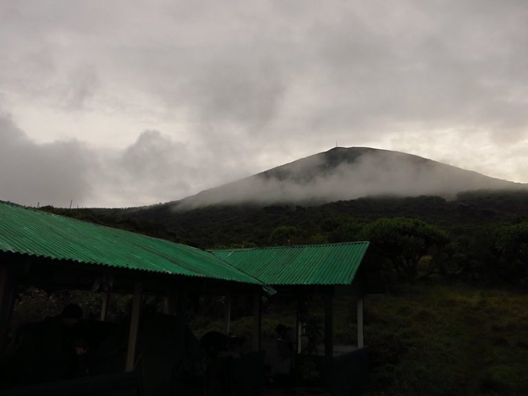 Mount Karisimbi Hike – Facts, Costs, When To Go